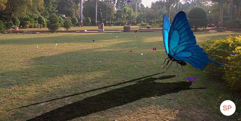 Butterfly Land @ SooperparK